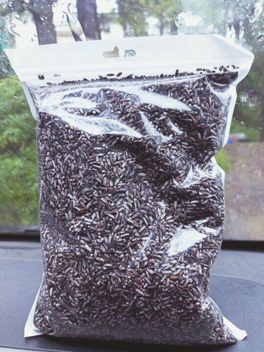 organic purple glutinous rice/malagkit(balatinao) | Lazada PH