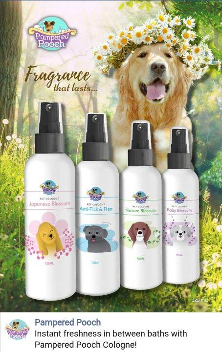 Pampered Pooch Pet Cologne 125mL Baby Blossom Japanese Blossom Nature ...