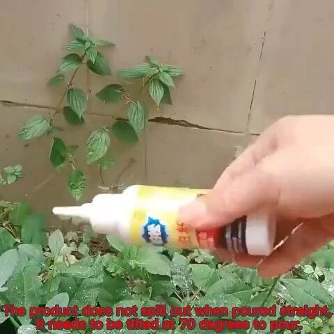 100% Effective Termite Killer Termites Killer Solution Odorless Termite ...