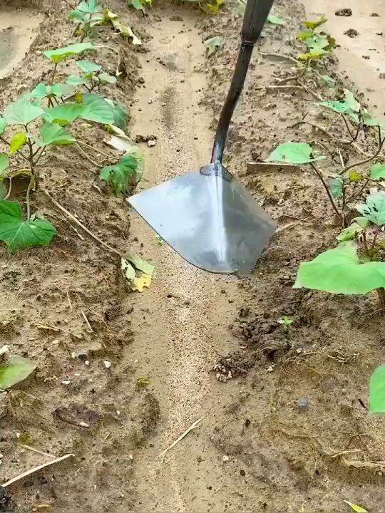 Agricultural Triangle Hoe Multifunctional Weeding Hoe For Fertilizing ...