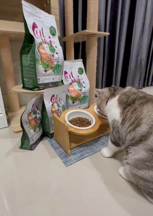 Cat Mojo 2 กก.อาหารแมว แคทโมโจ เกรนฟรี เกรดโฮลิสติก สำหรับแมวทุกช่วงวัย ...