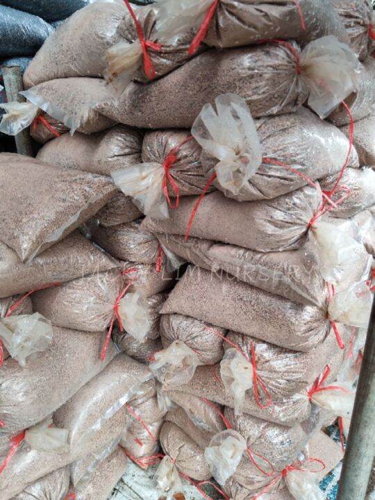 TANAH BAKAR/MERAH Red Burn Soil/火烧泥/红土 3-4kg | Lazada