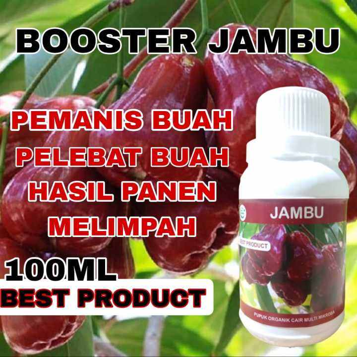 Pupuk cair organik buah jambu super lebat booster buah jambu pemanis pelebat buah jambu | Lazada ...