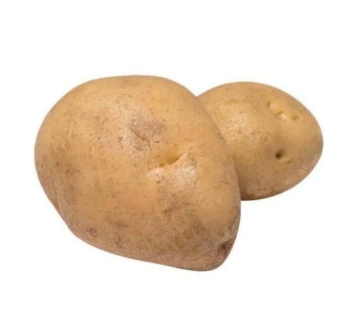 kentang Dieng Besar | Lazada Indonesia