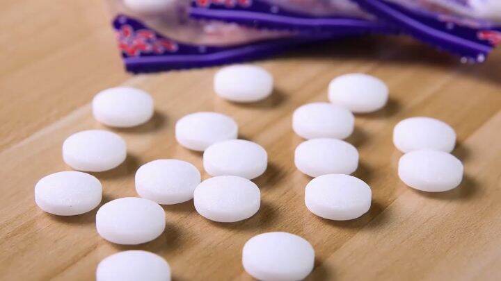 Wardrobe Odor Removal Insect-resistant Moth-proofing Natural Camphor ...