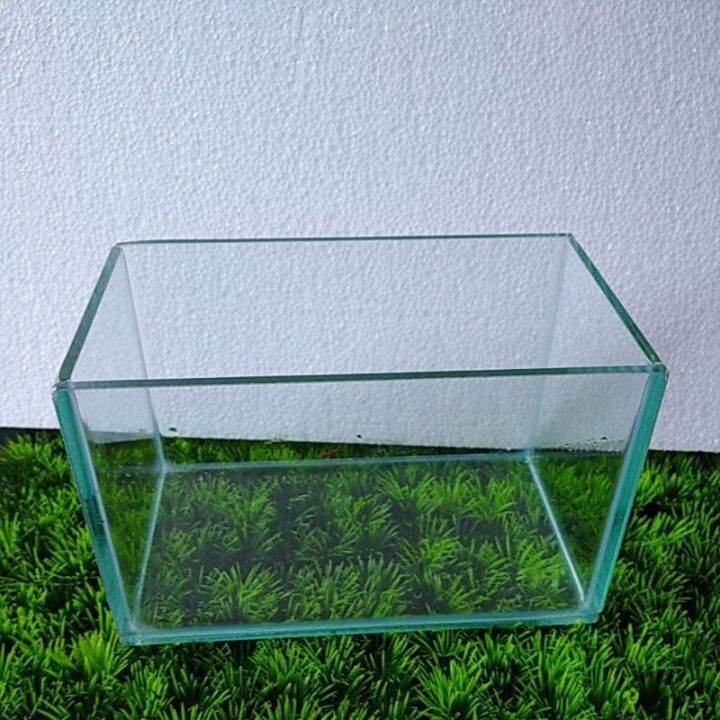 soliter kaca 20x10x10 cm akuarium kaca mini ikan cupang guppy | Lazada ...
