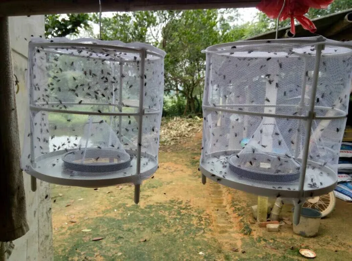 Fly Cage Fly Trap Environmental Protection Fly Trap Fly Killer Fly Cage ...