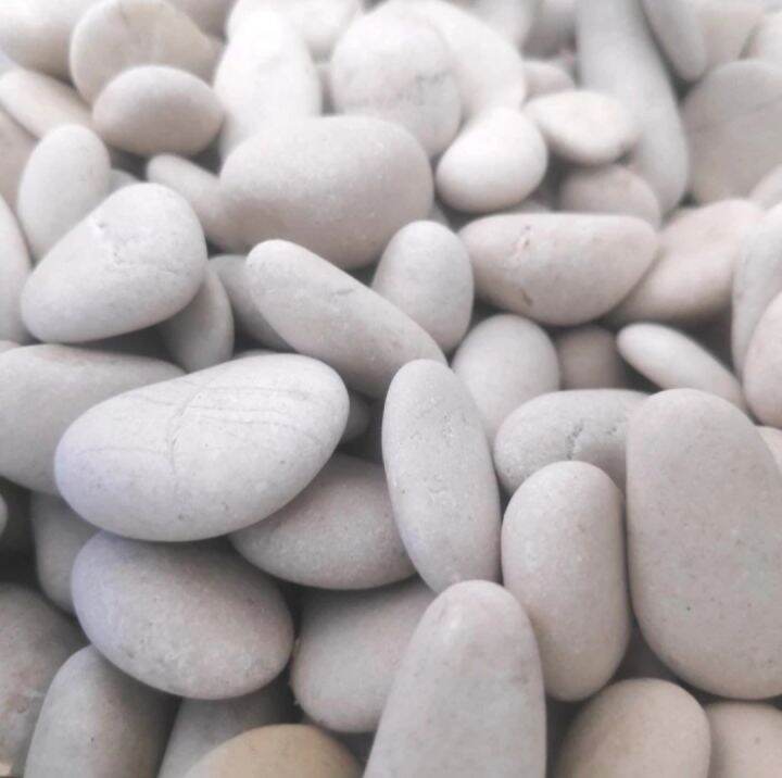 batu koral putih pipih, batu putih 25-30, batu taman pipih, 1 kg ...