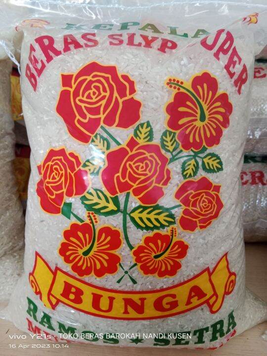 Beras Cap 10kg 5kg | Lazada Indonesia