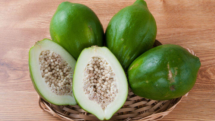 Buah pepaya mentah/ buah gedang segar 1 buah | Lazada Indonesia