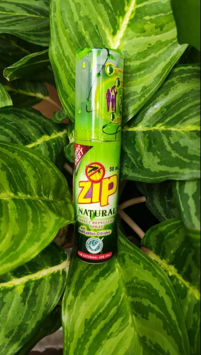 Zip Insect Repellent Spray | Lazada PH