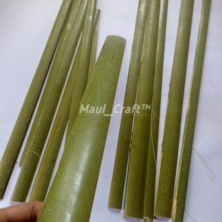 Tirai Batang Pohon Sagu / Rumbia Hijau 1 meter untuk Berbagai Kerajinan ...