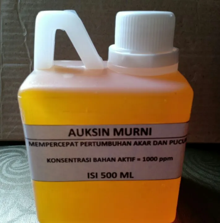 Hormon Tanaman Auksin Konsentrasi 1000 PPM Untuk Memacu Pertumbuhan ...