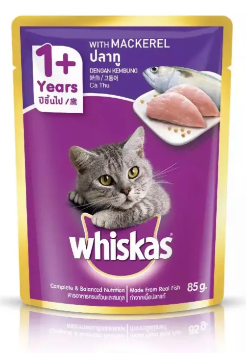 Whiskas Junior Mackerel Wet Cat Food | Lazada PH Whiskas Junior Mackerel Wet Cat Food | Lazada PH