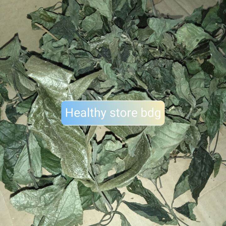 Daun keji beling atau pecah beling kering 100 gram | Lazada Indonesia