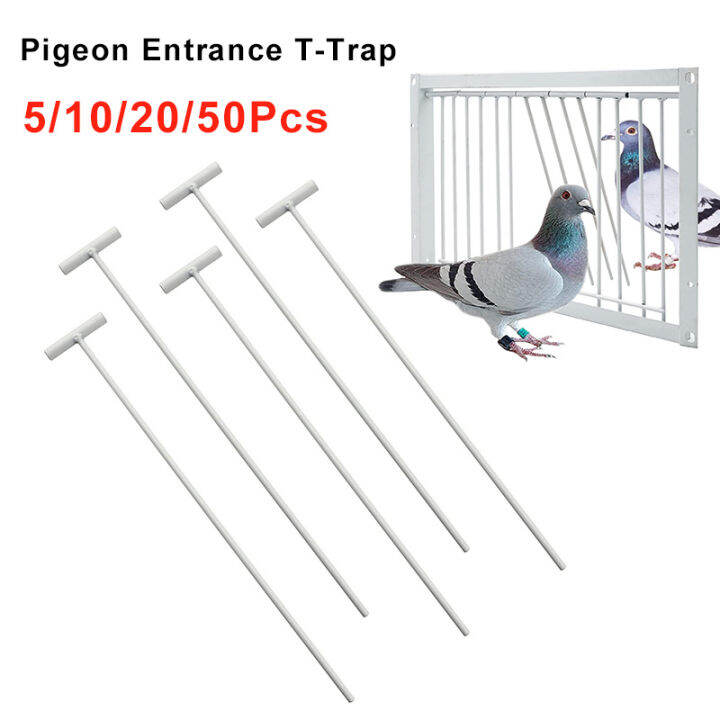 50/20/10/5Pcs Pigeon Trap Door Metal Wire T-Shaped Entrance One-Way ...