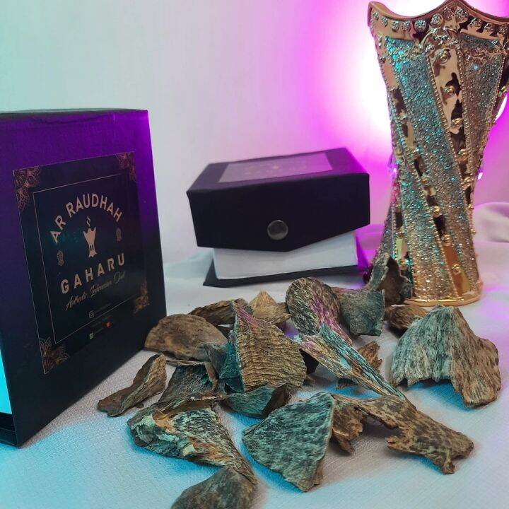 Kayu Gaharu Kalimantan Mini Super - Agarwood Gahru Bukhur | Lazada ...