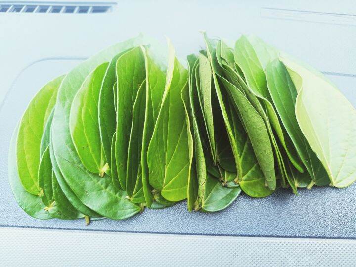 gawed, betel leaves, ikmo, for moma or nganga | Lazada PH