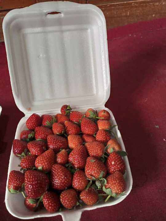 stroberi segar 1 kg buah enak sehat manis | Lazada Indonesia