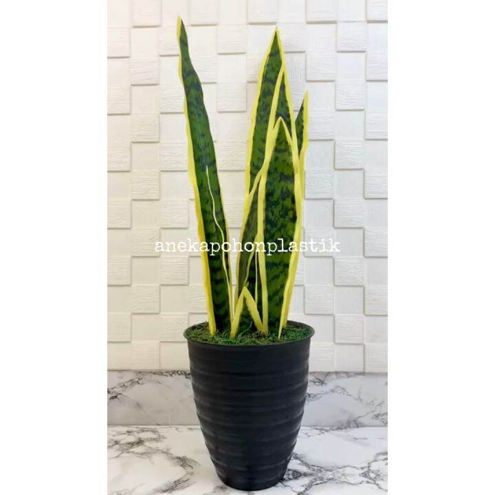Pohon Hias Daun Lidah Mertua X10 Latex Artificial Pot Tawon Pirus Hitam ...