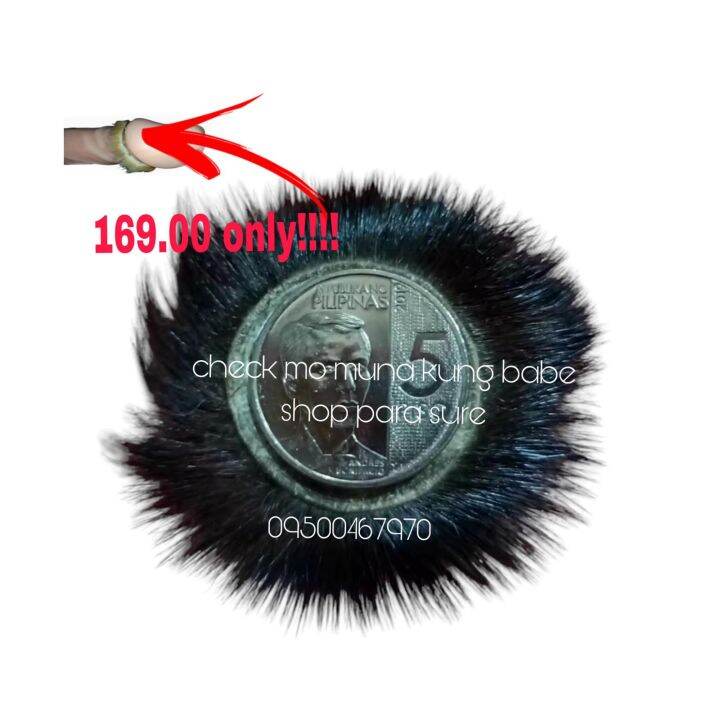 Pilik mata ng kambing or pampadulas | Lazada PH