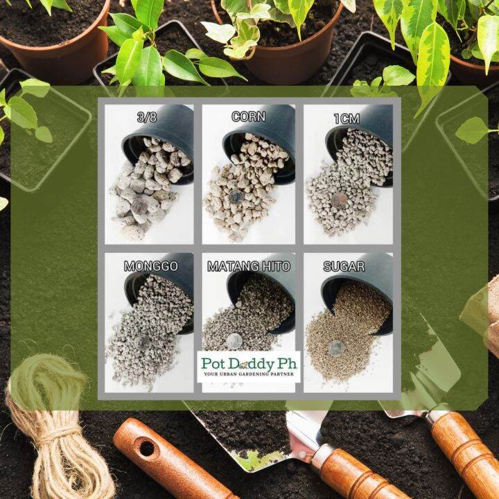 Pot Daddy Ph Pumice Stones 1 kilo pack | Lazada PH