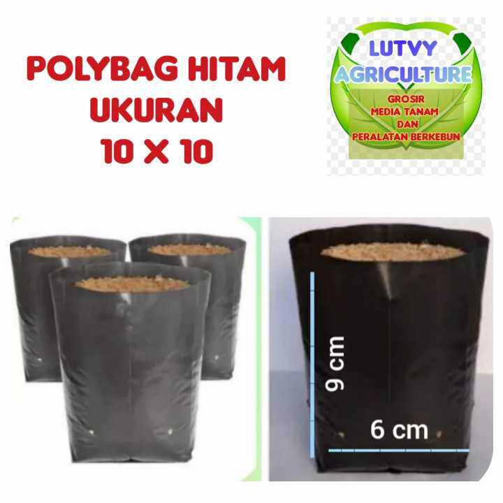 Polibag Hitam ukuran 10 X 10 | Lazada Indonesia