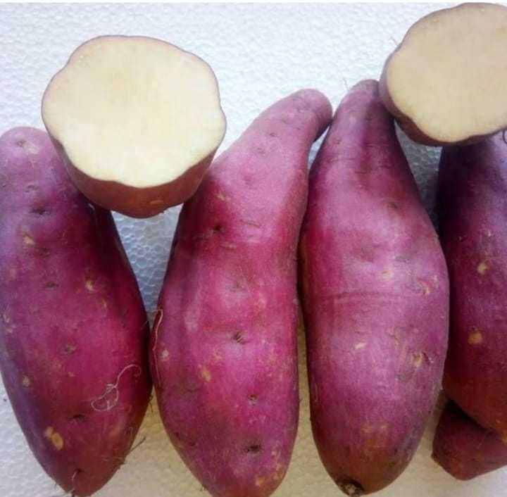 ubi jepang manis 1kg | Lazada Indonesia