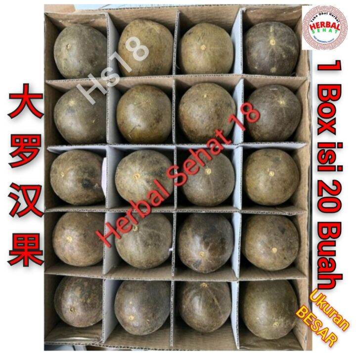 Buah lohan kuo 1 ktk isi 20 buah ukuran Besar berkhasiat meredakan ...