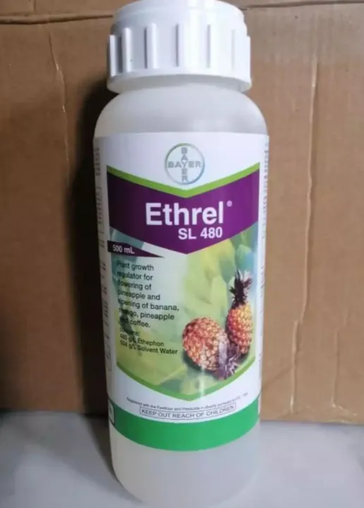 Ethrel SL480 (Plant Growth Regulator/Pampahinog) | Lazada PH