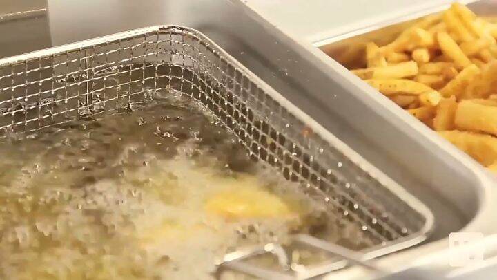 20L Electric Deep Fryer Dual Cylinder Heavy Duty Deep Frying 220V ...