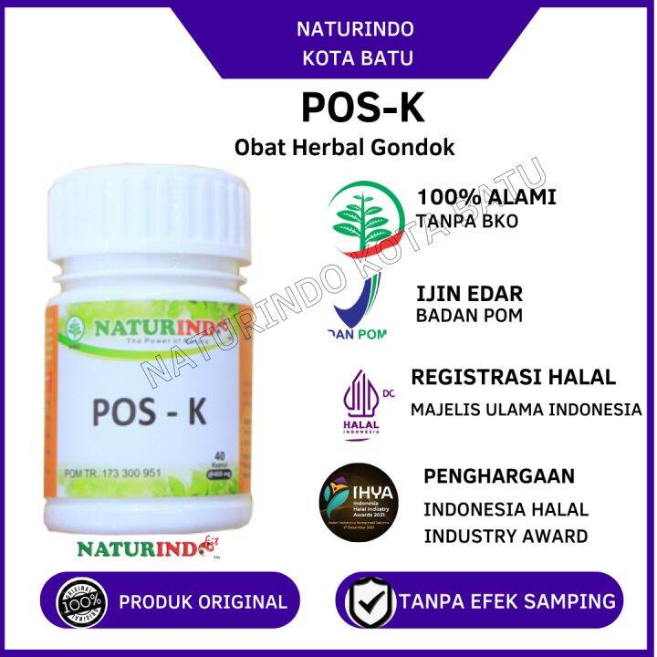 NATURINDO Obat Herbal Gondok Hipertiroid Anti Nyeri Obat Kelenjar ...