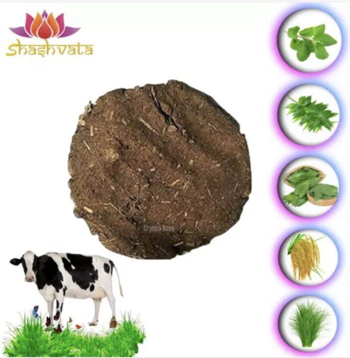 Shashvata Mooligai Varatti/100% Natural Cow Dug with Herbals (Hindu ...