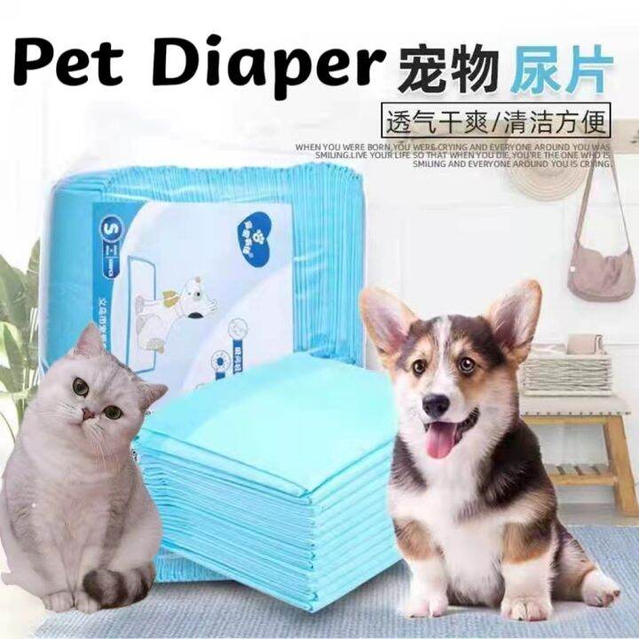 Pet Diaper 1pc Pamper Cat Dog Training Pad Wee Wee Pad Pee Pet Pad ...