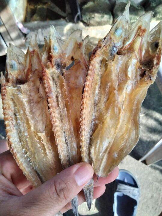 dried fish..di maalat.malasa tikman Ng masubukan | Lazada PH