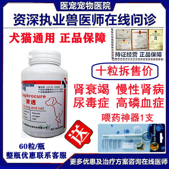 Modern Dog Kidney-Penetrating Kang Pet Dog Dog Cat Renal Failure ...