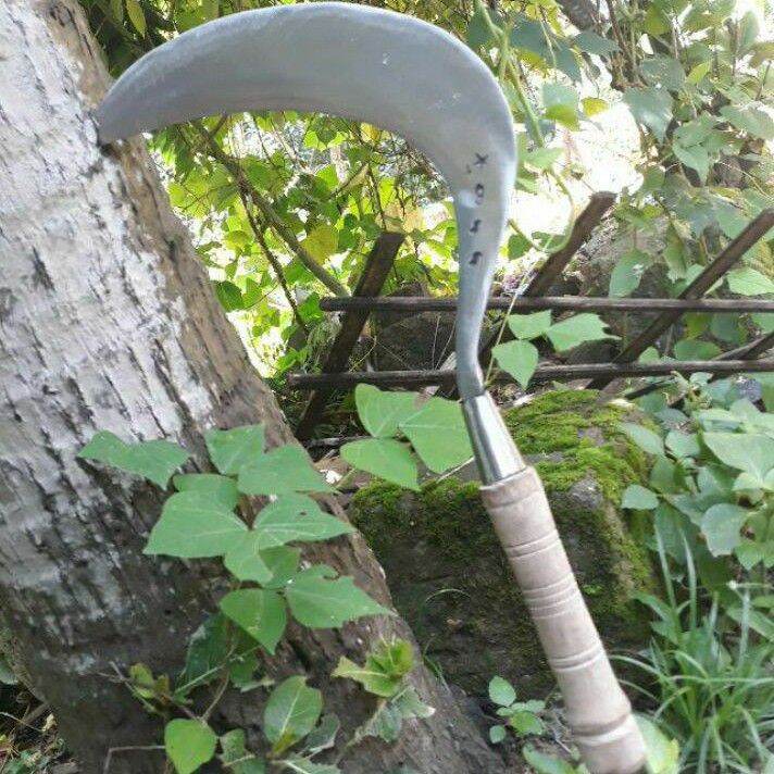 SABIT RINGAN - PERALATAN KEBUN 32 CM / ARIT BAJA PER SUPER TAJAM / ALAT ...