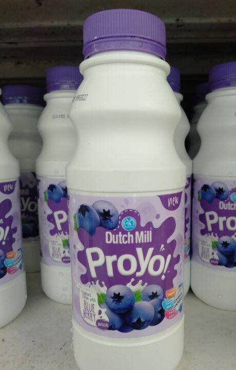 Dutch Mill Proyo Blueberry Probiotic Drink | Lazada PH