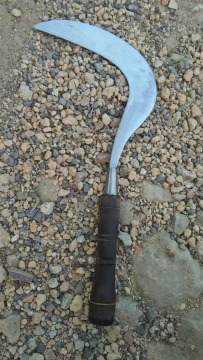 Arit Rumput Khas Madura | Lazada Indonesia