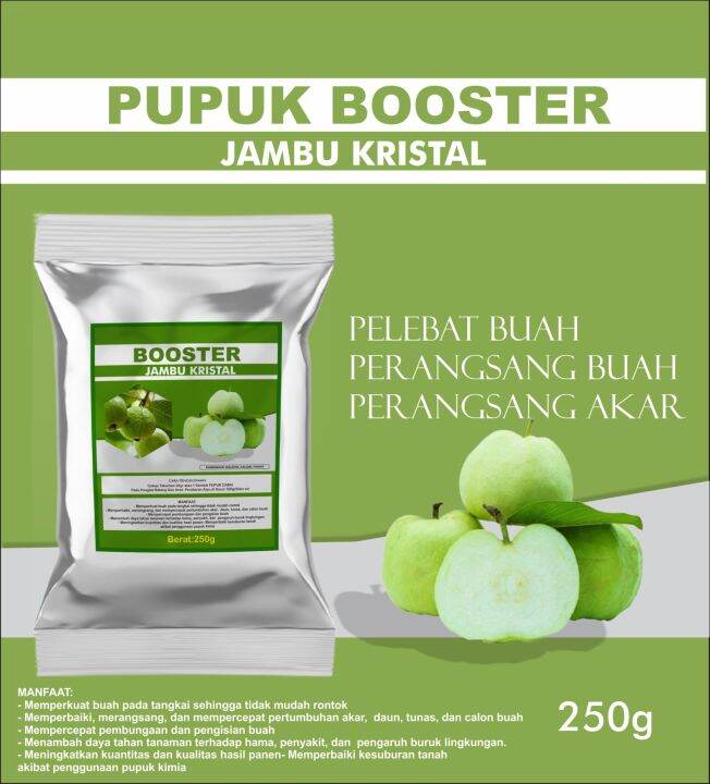 pupuk jambu kristal booster pelebat buah 250gram | Lazada Indonesia