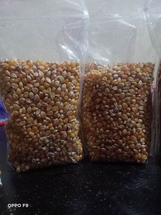 JAGUNG POPCORN REPACK 1KG | Lazada Indonesia