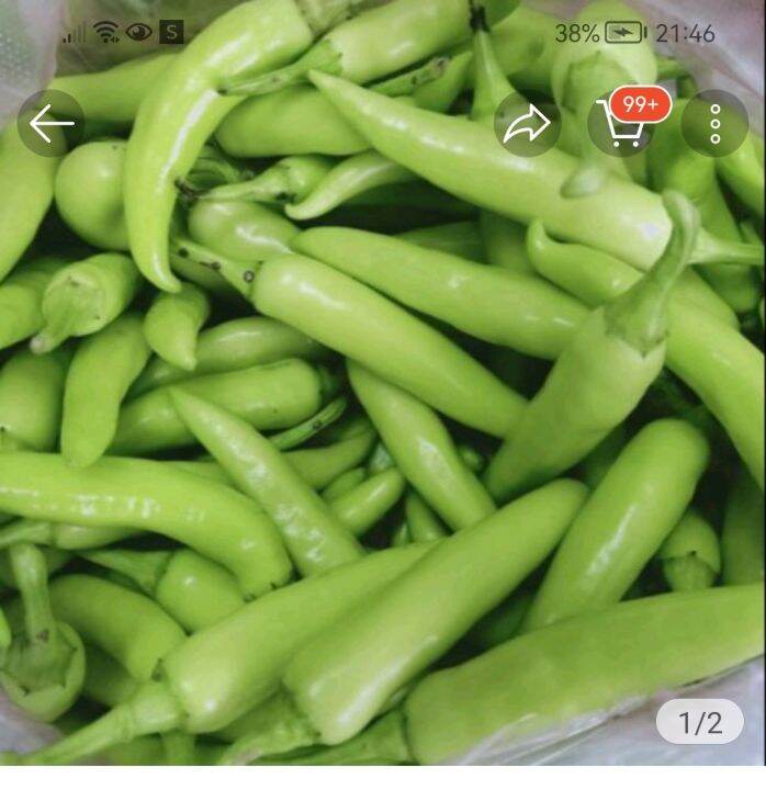 1KG Ớt Sừng Xanh ( đặc sản Huế) | Lazada.vn