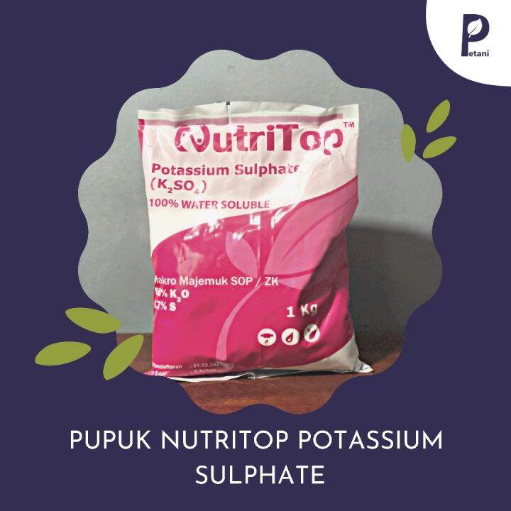 Pupuk SOP Nutritop Premium 1 kg | Lazada Indonesia