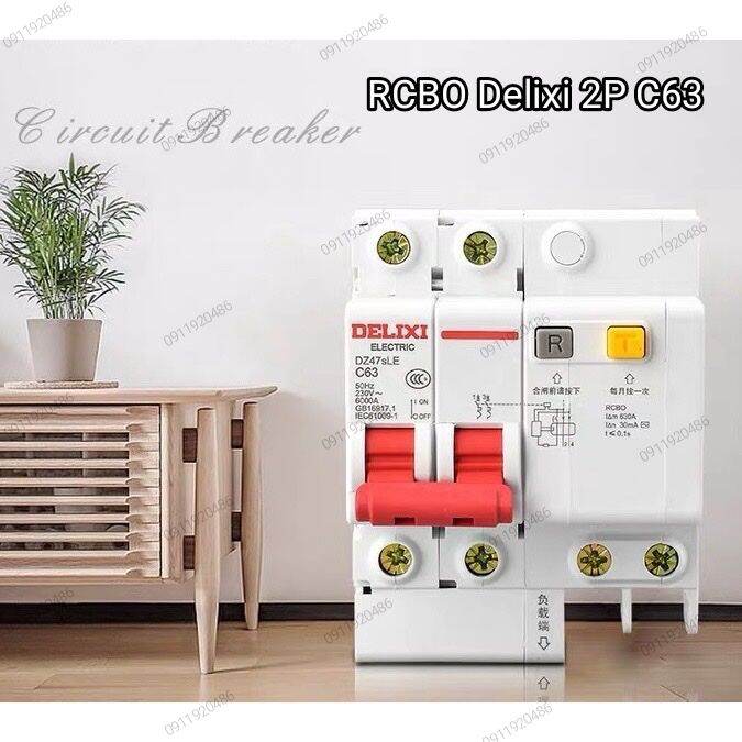 RCBO Atomat chống dò điện,chống giật Delixi 220v | Lazada.vn