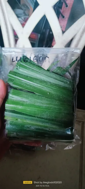 Lubigan Plant | Lazada PH