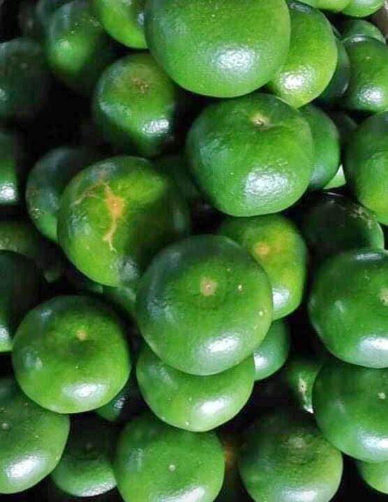 MELANIA'S Fresh Green Poncan Dalandan 1kg | Lazada PH