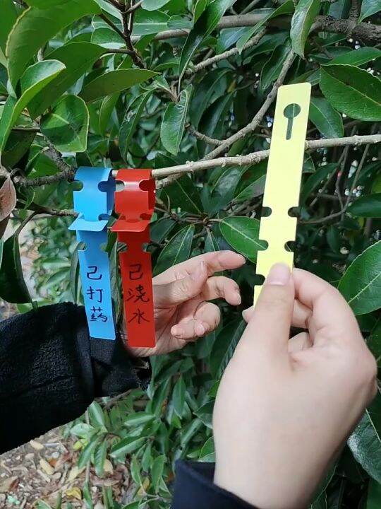 Label Tanaman 100pcs Plant Label Penanda Tanaman Pvc Label Tanaman Waterproof | Lazada Indonesia