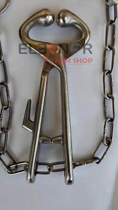 Tang Alat Pasang Tindik Hidung Sapi Tang Cincin Bull Ring Sapi – Cattle ...