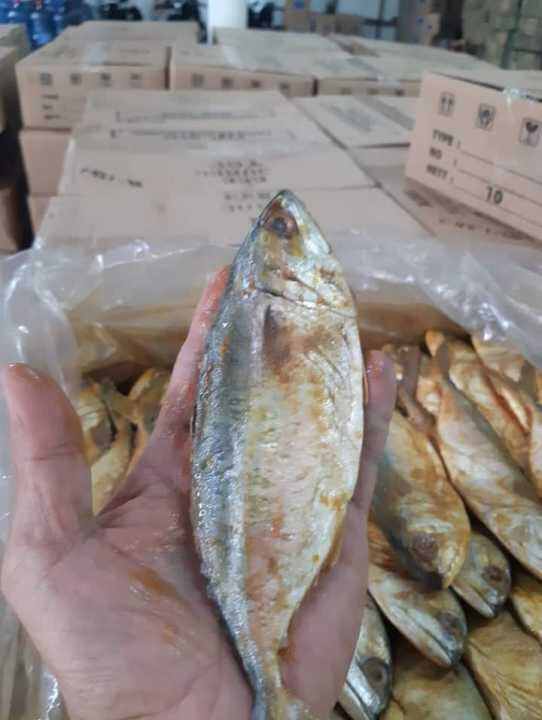 ikan asin PEDA MERAH BESAR/JUMBO fresh; 1kg best seller | Lazada Indonesia