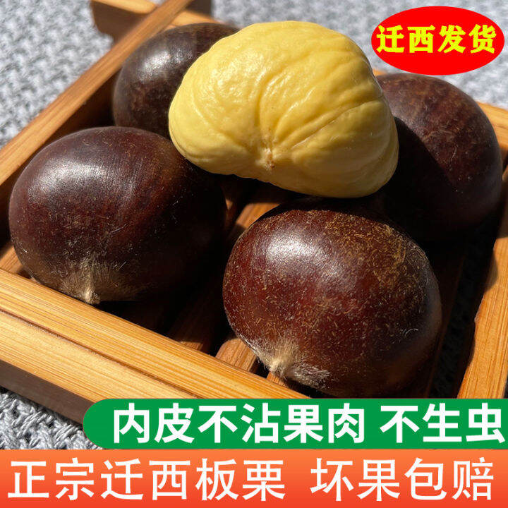 2023 Authentic Chinese Chestnuts of Qianxi Raw Fresh Chestnut Flagship ...